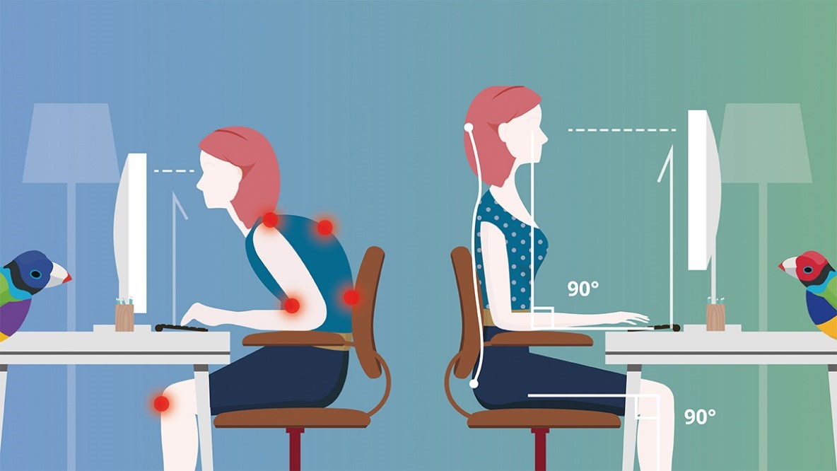 Ergonomics: Why Does Posture Matter? - Chiropractor Raleigh NC ...
